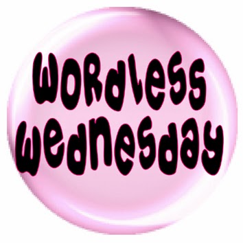 A Nice Place In The Sun: Wordless Wednesday! "Let The Good Times Roll!