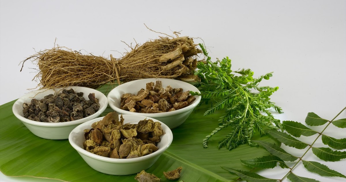 Health 4 You: Ayurveda for Immunity