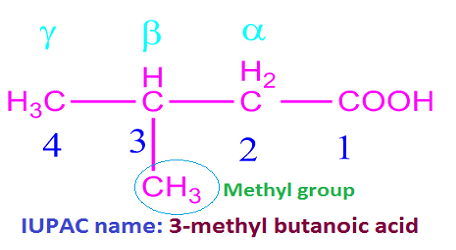 IUPAC name and structural formula of beta methyl butyric acid - PG.CHEMEASY