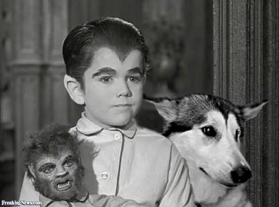 TV BANTER : Whatever happened to Butch Patrick (Eddie Munster)?