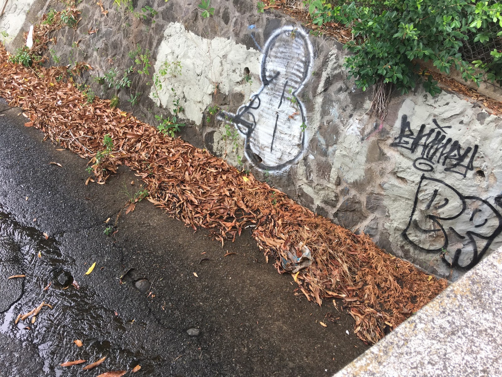 Waialae streams and a Kapakahi puzzle