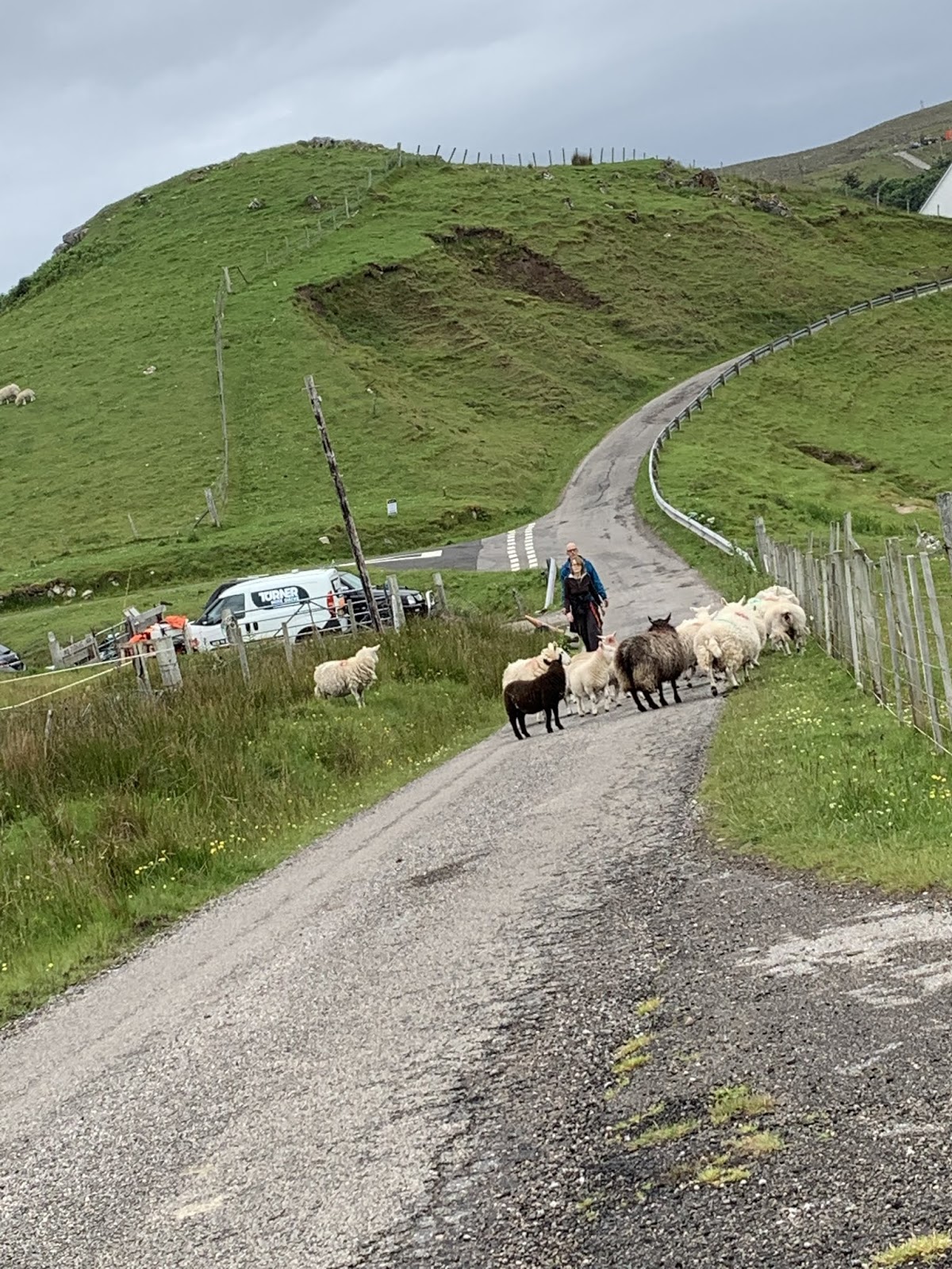 Rivergum3851: Roaming sheep, sheer cliff faces and other tales from ...