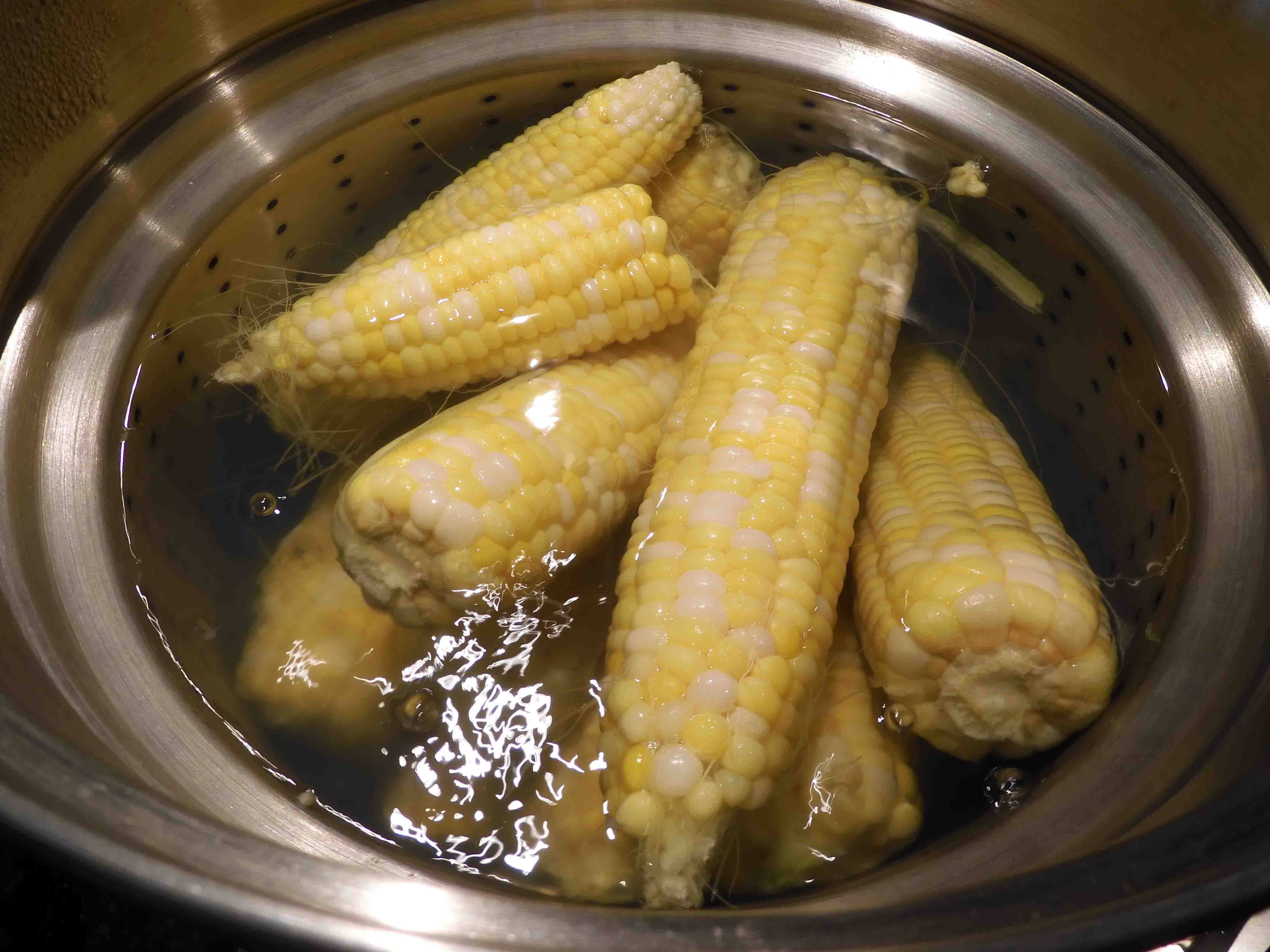 Cat Patches: Cornucopia