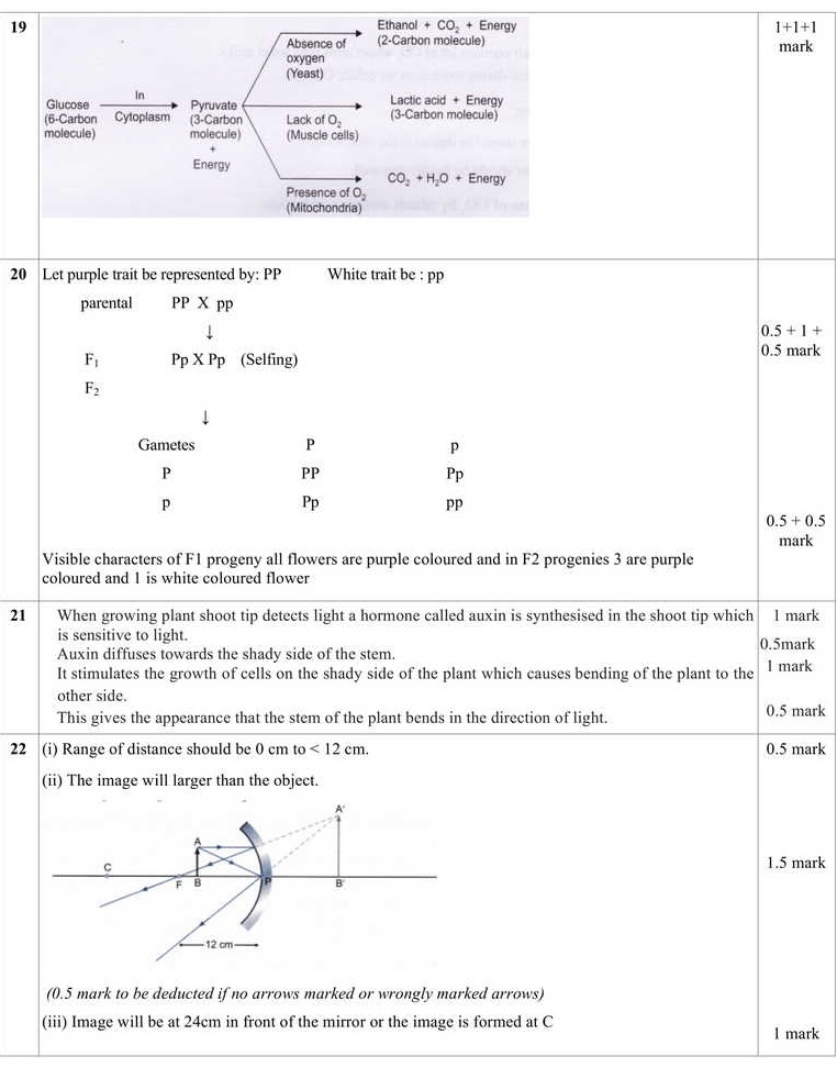Solutions to CBSE Science Sample Paper 2020| Class 10th