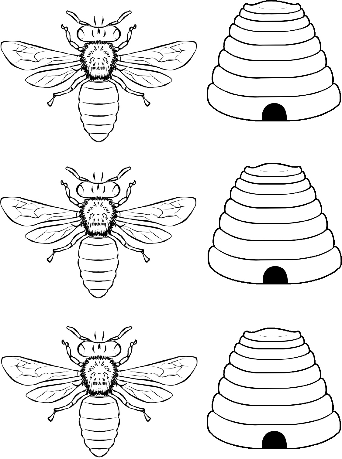 Nápady do školky: Včela a úl