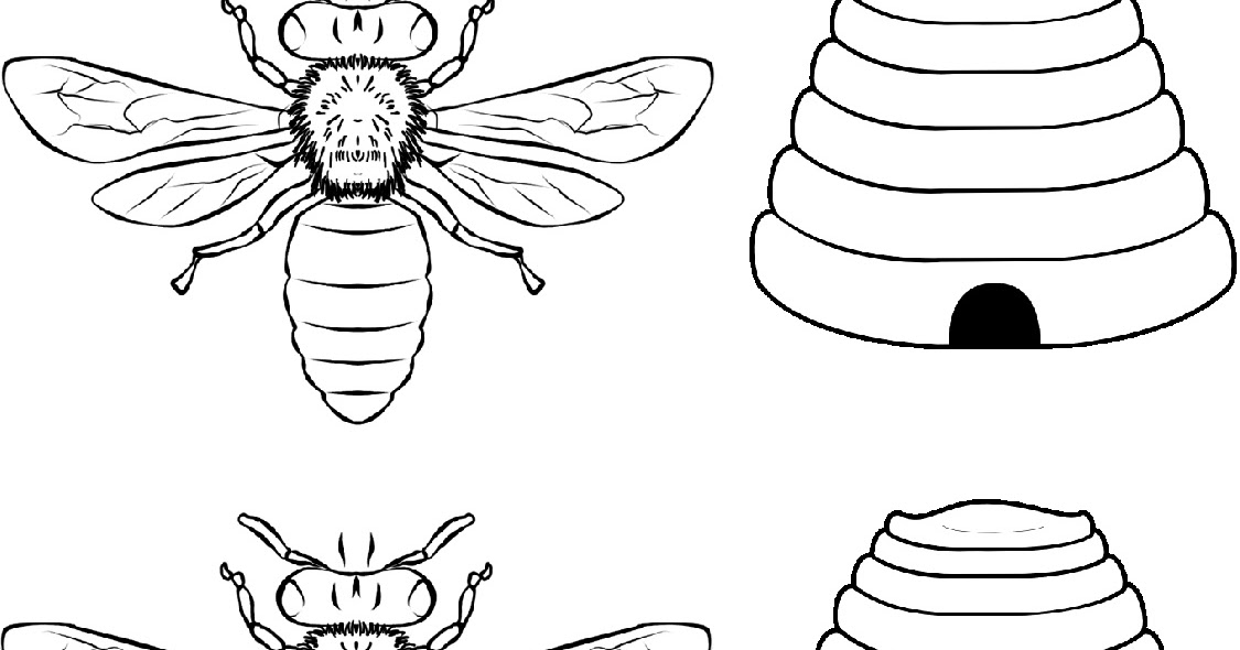 Nápady do školky: Včela a úl