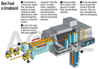 ISO 22000 Resource Center: Irradiation as a Food Safety and ...