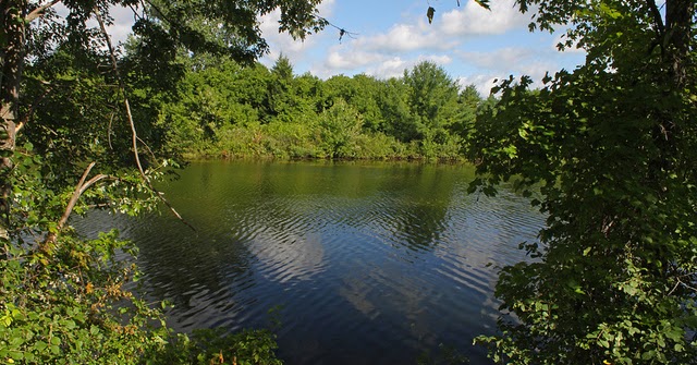 CFZ-CANADA: Oak Ridges Trail Guidebook