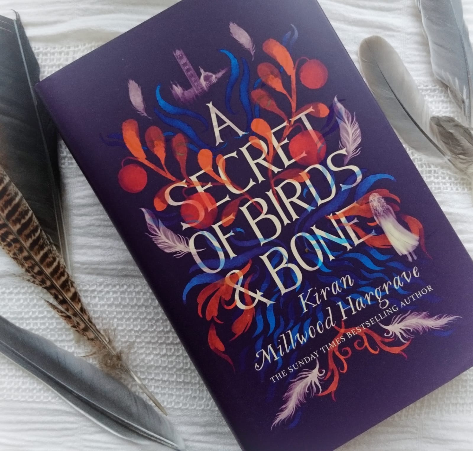Zuzu's Pages: ...(book review) a secret of birds and bone by kiran ...