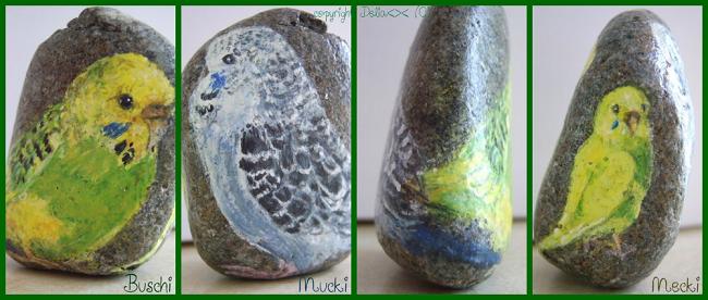 Delia's Art...: Painted Parakeet Rock