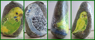 Delia's Art...: Painted Parakeet Rock