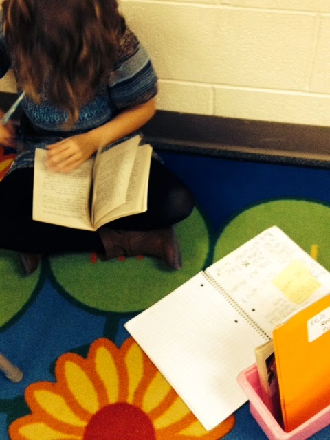 Team McNitt: Digging Deeper with Reading