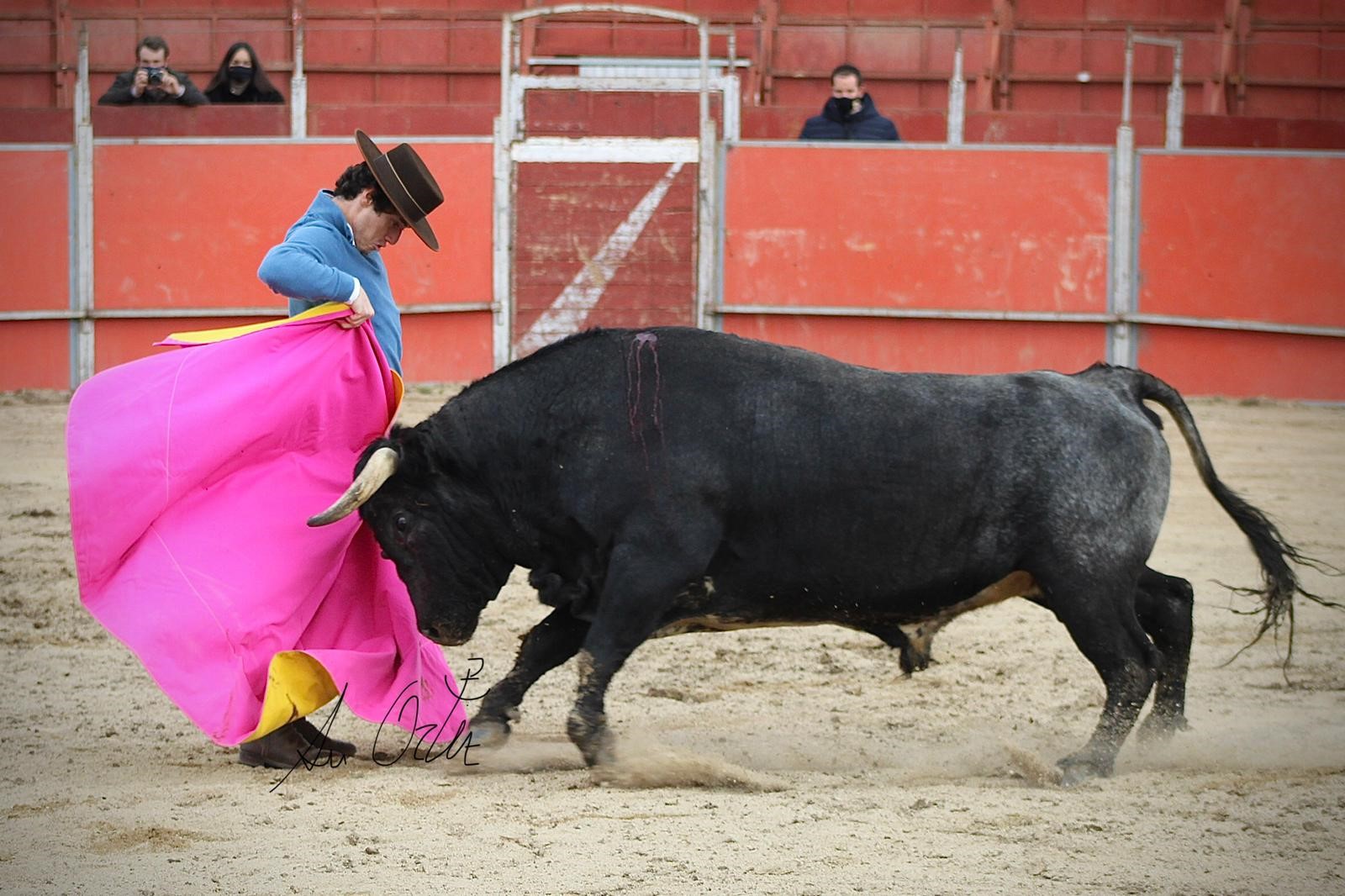 Toro, Torero y Afición: DICIEMBRE : ( 5º Festejo) Toros de Flor de Jara ...