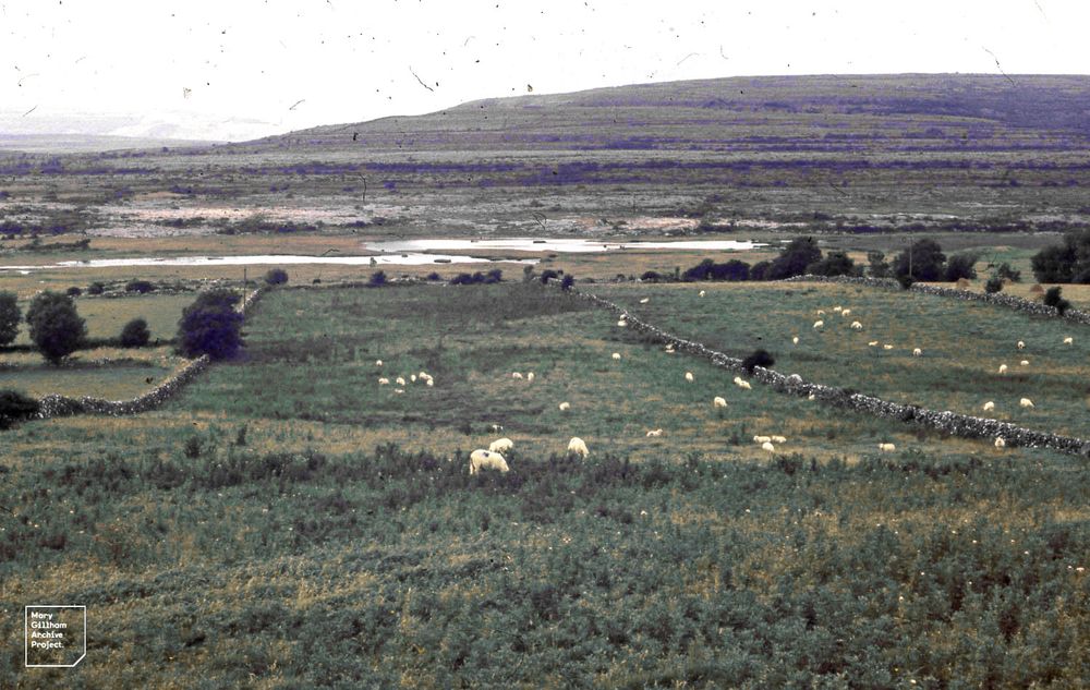 Turlough: Ireland’s Disappearing Lakes | Amusing Planet