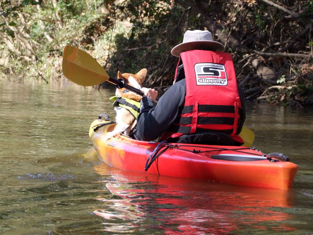 Kayaking the Mobile-Tensaw River Delta: 11/07/2009 - ASRT Ghost Paddle