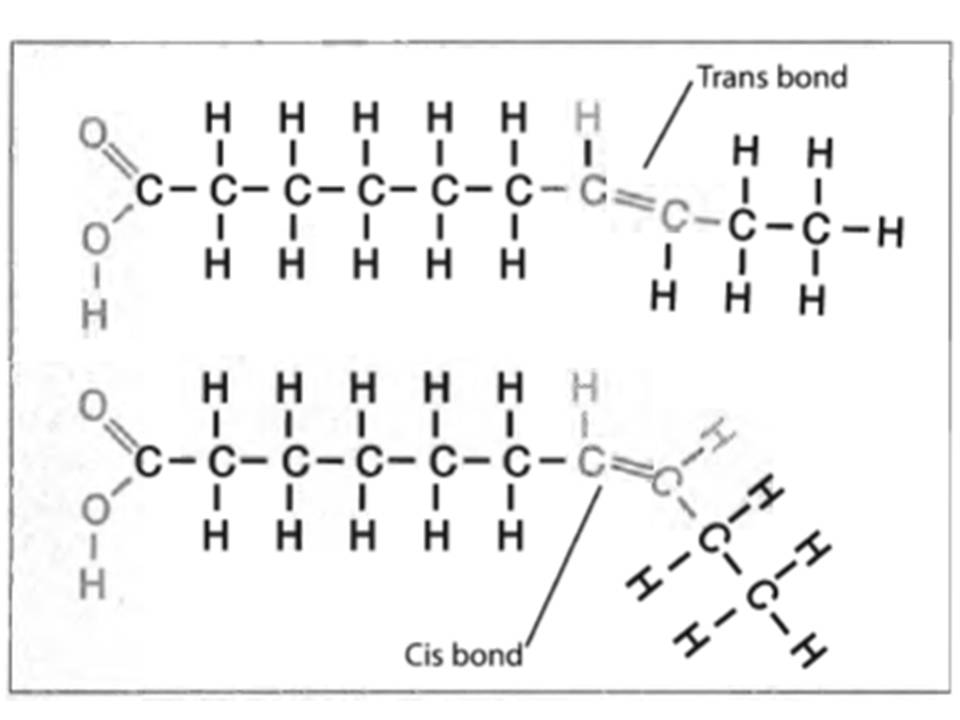 What is Cholesterol? ~ The Heart And Heart Disease