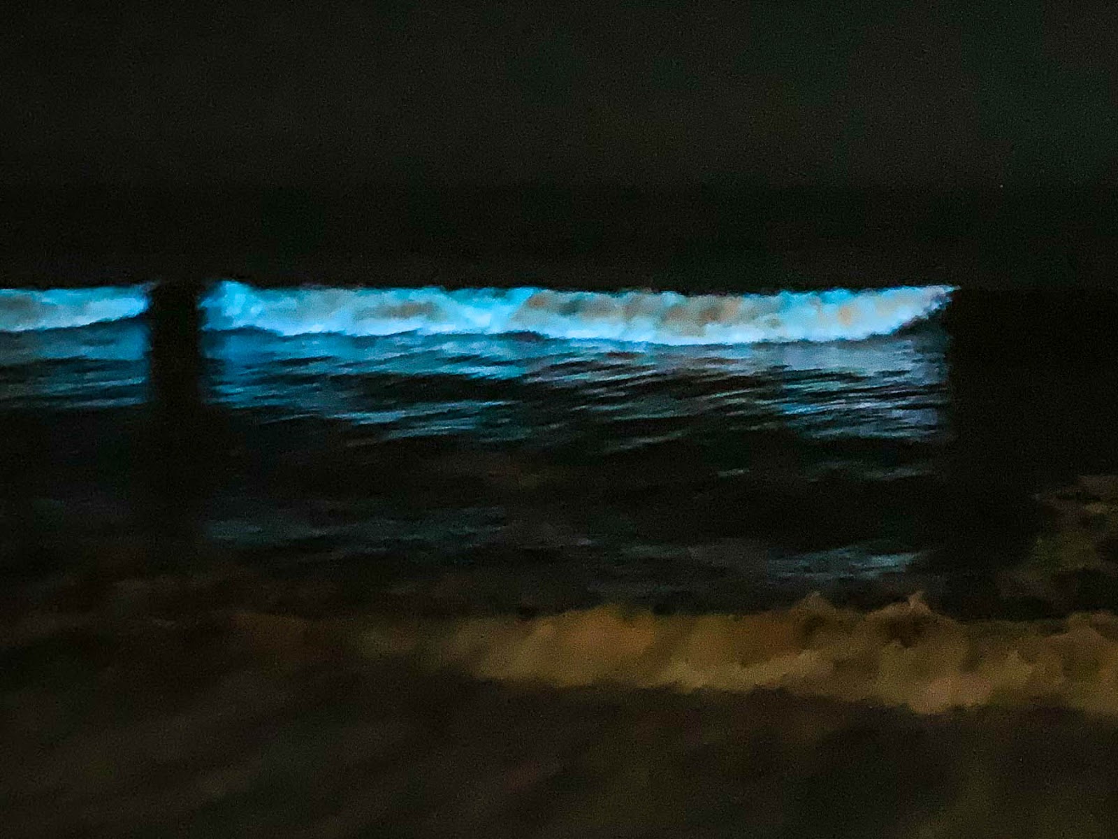 Things To Do In Los Angeles: Red Tide, Bioluminescent Rage