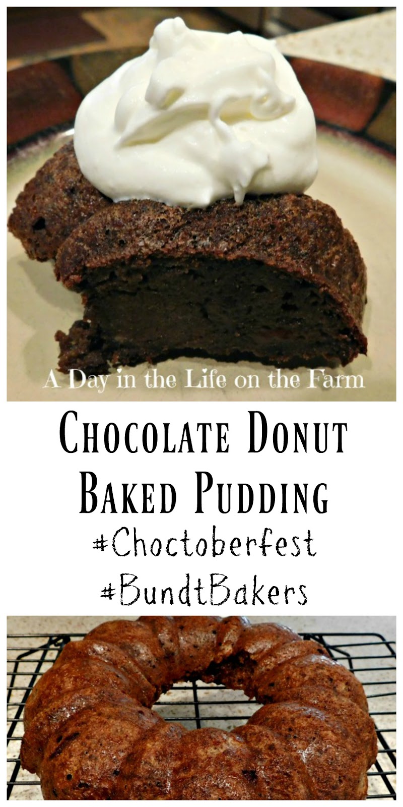 A Day in the Life on the Farm: Leftover Chocolate Donut Pudding # ...