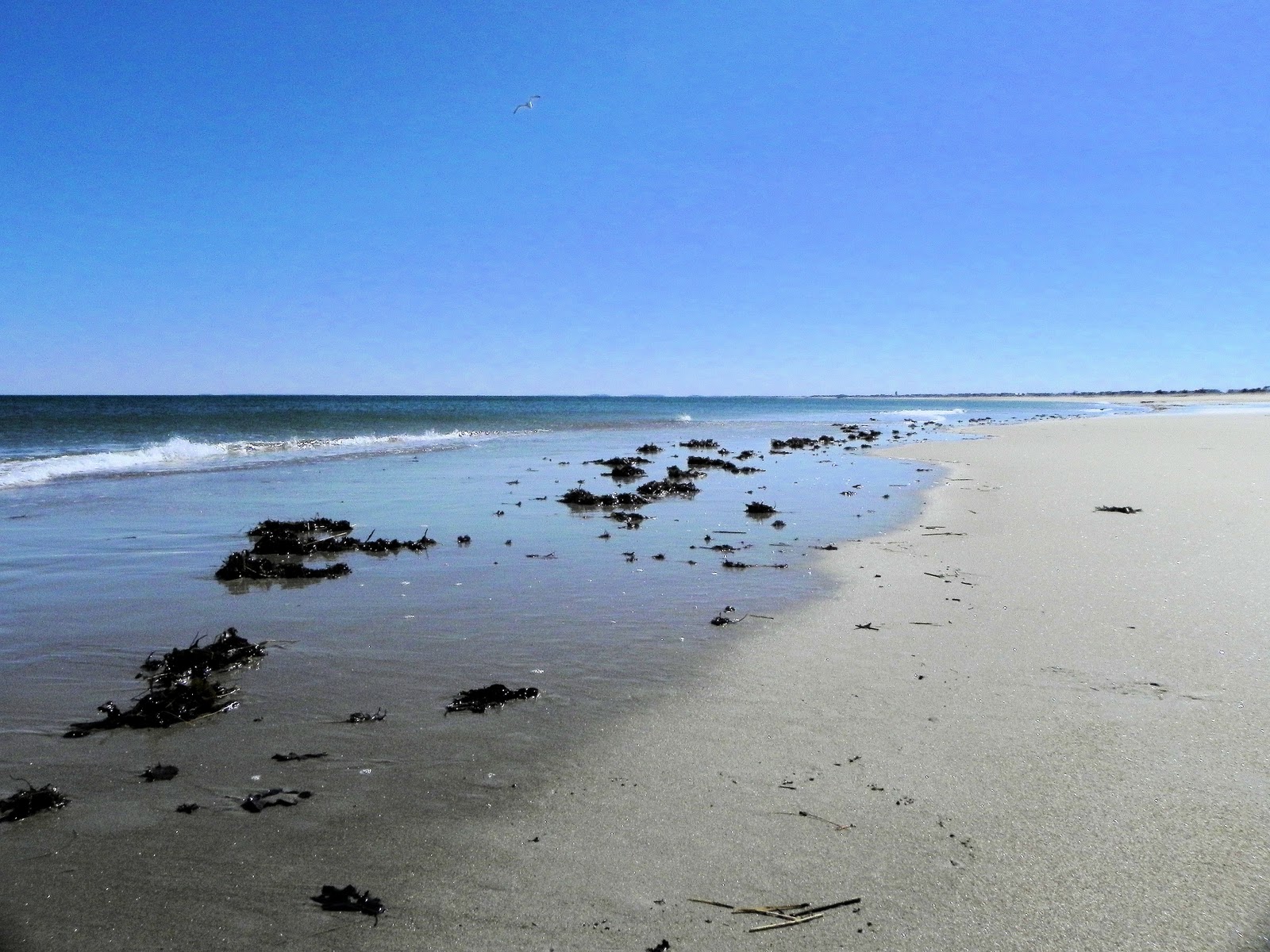 Life and the pursuit of happiness.: New Hampshire Shore