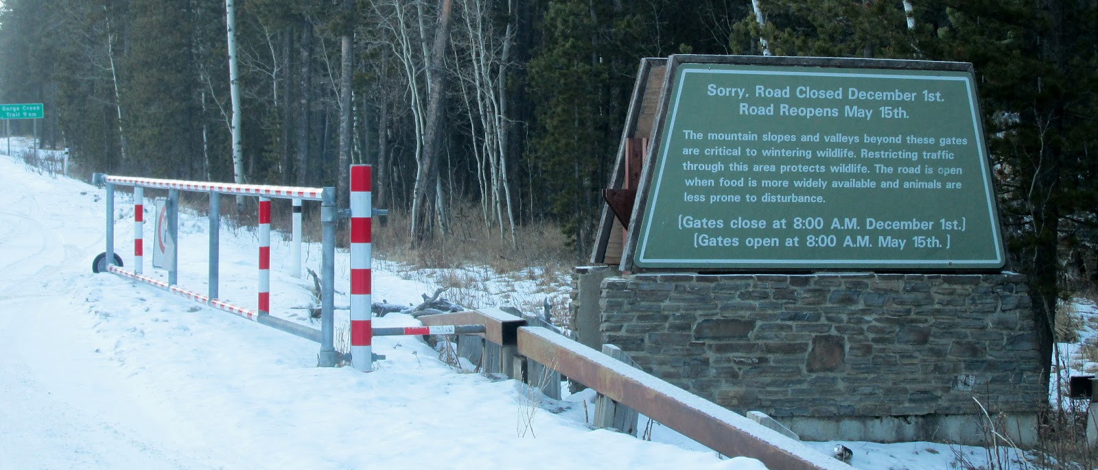 The Passionate Hiker: South Volcano Ridge