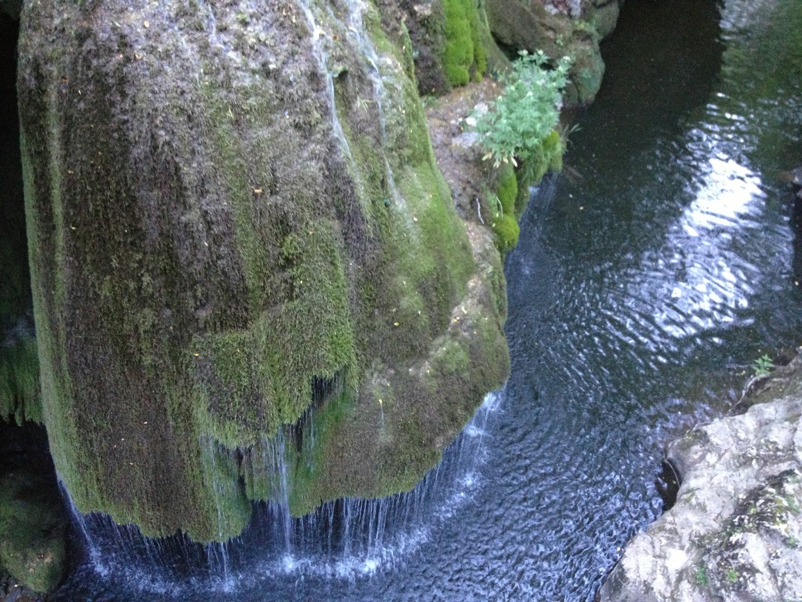 Dromarland: Prin Muntii Banatului
