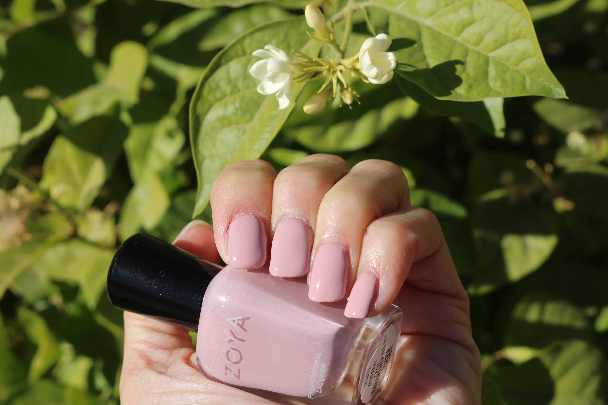 Zoya Naturel 4: Transitional 2020 Collection Swatches and Review - The Shades Of U