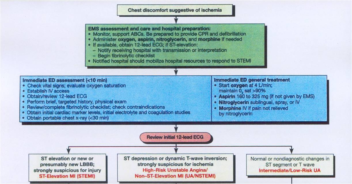 yuan's !nk: Cardiology Emergency