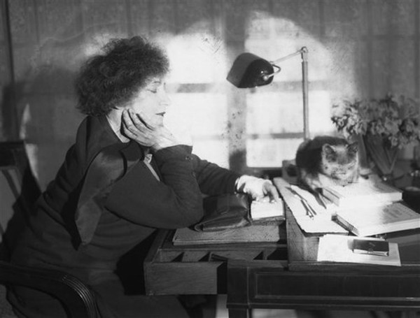 Art et glam: Colette, la passion des chats