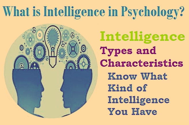 Intelligence in Psychology -Types and Characteristics - Know What Kind ...
