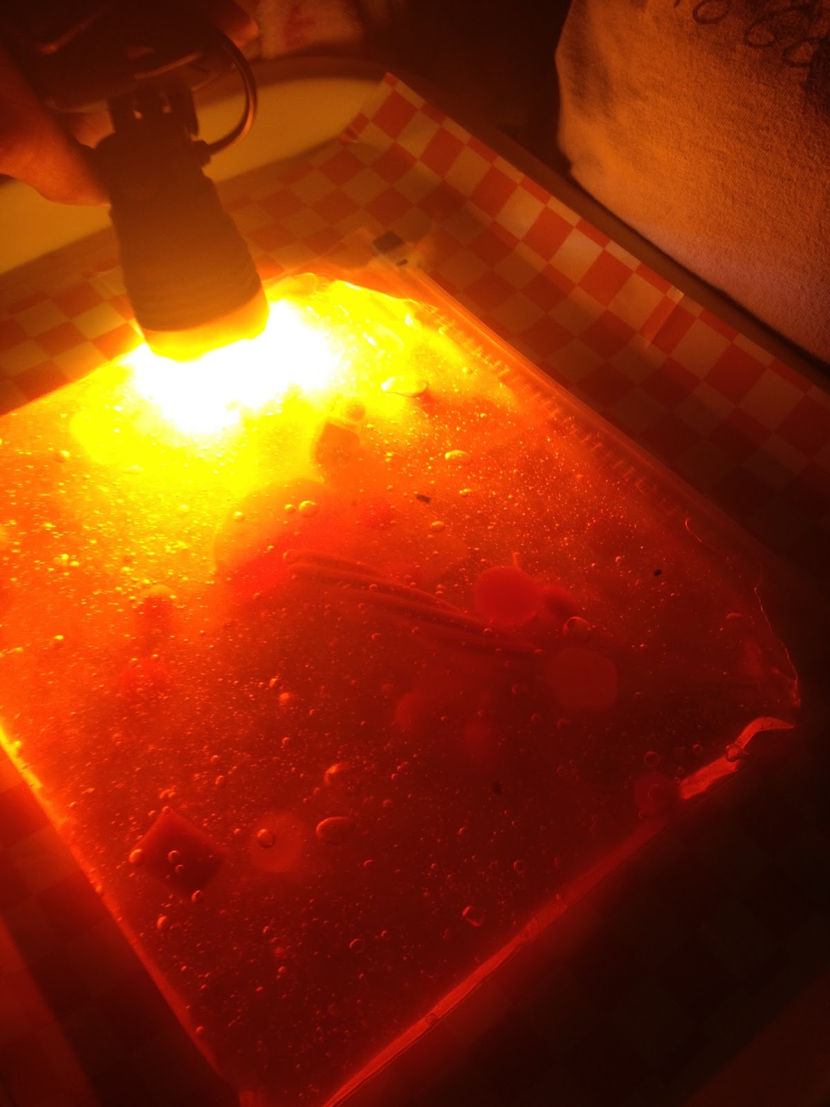 Learning In Grace: DIY 3D Edible Jello Cell-Human Body Unit 5th Grade