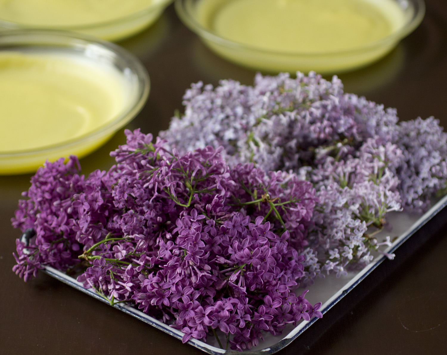 Illuminated Perfume: Full Flower Moon Enfleurage