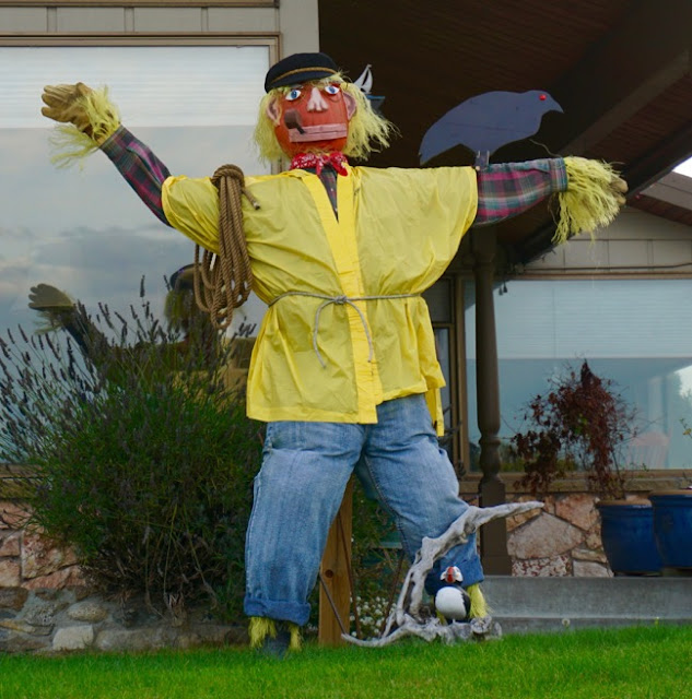 Shoreline Area News: Photos: Scarecrows in Edmonds