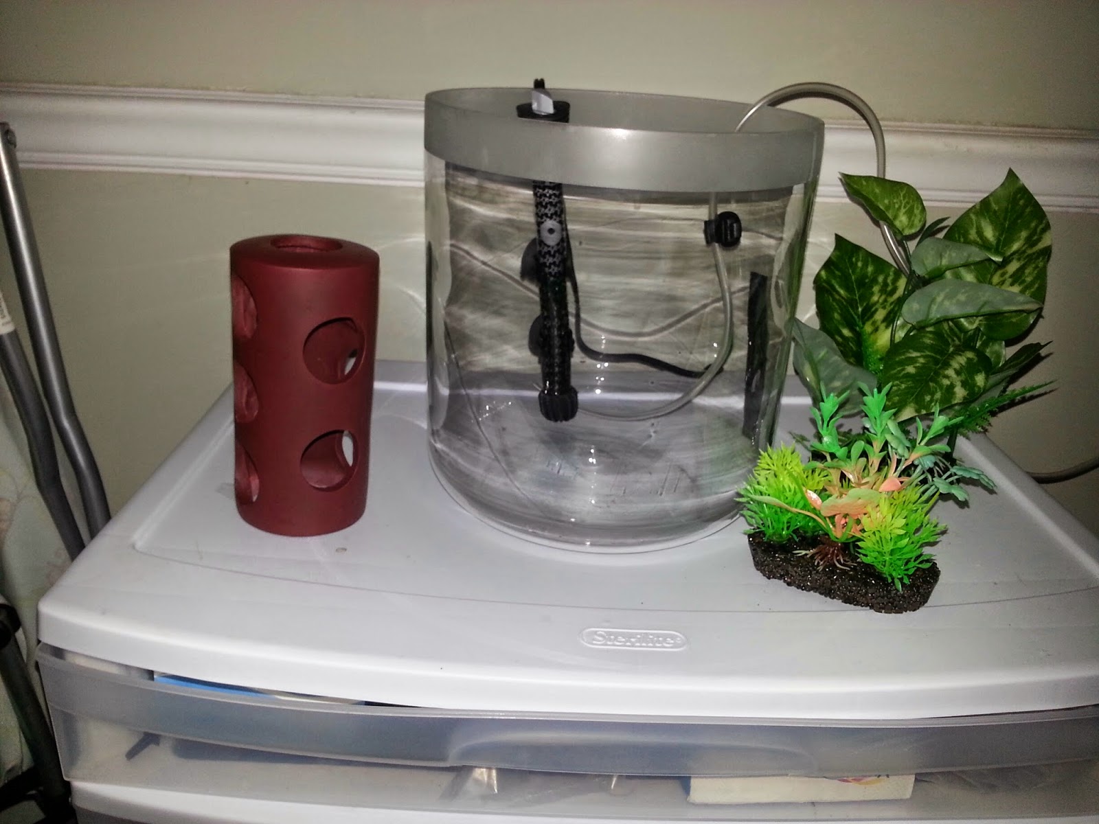Happy Fish Blog: How to set up a Betta Tank, DIY Tank Cover and an ...