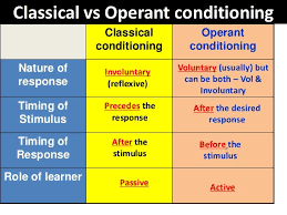 Skinner’s Operant Conditioning Theory & Discovery Learning