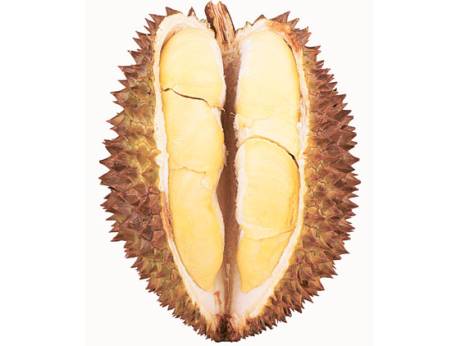 Under The Angsana Tree: The King of Fruits in Space