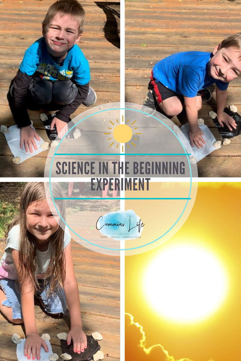 Cummins Life: Science in the Beginning Set Review {Timberdoodle 1st ...