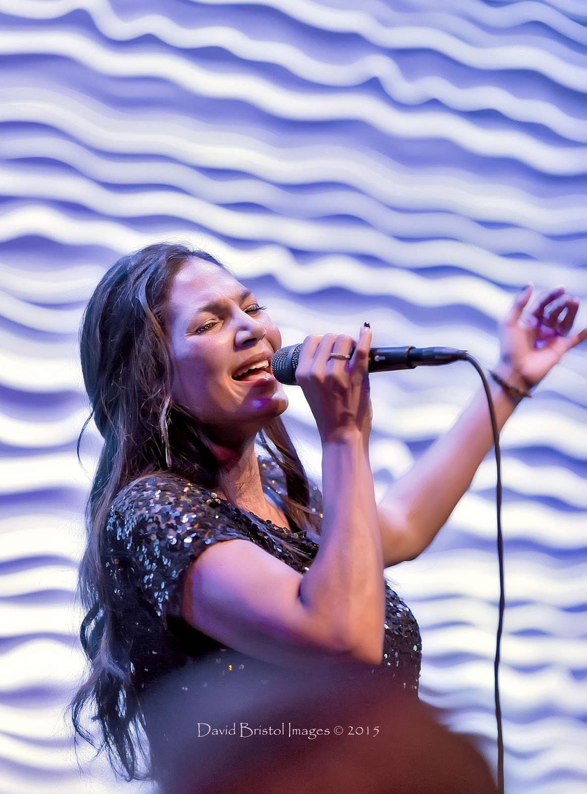 The Big Whistle: Darelle Holden with 313 Soul at Bake's Place November ...