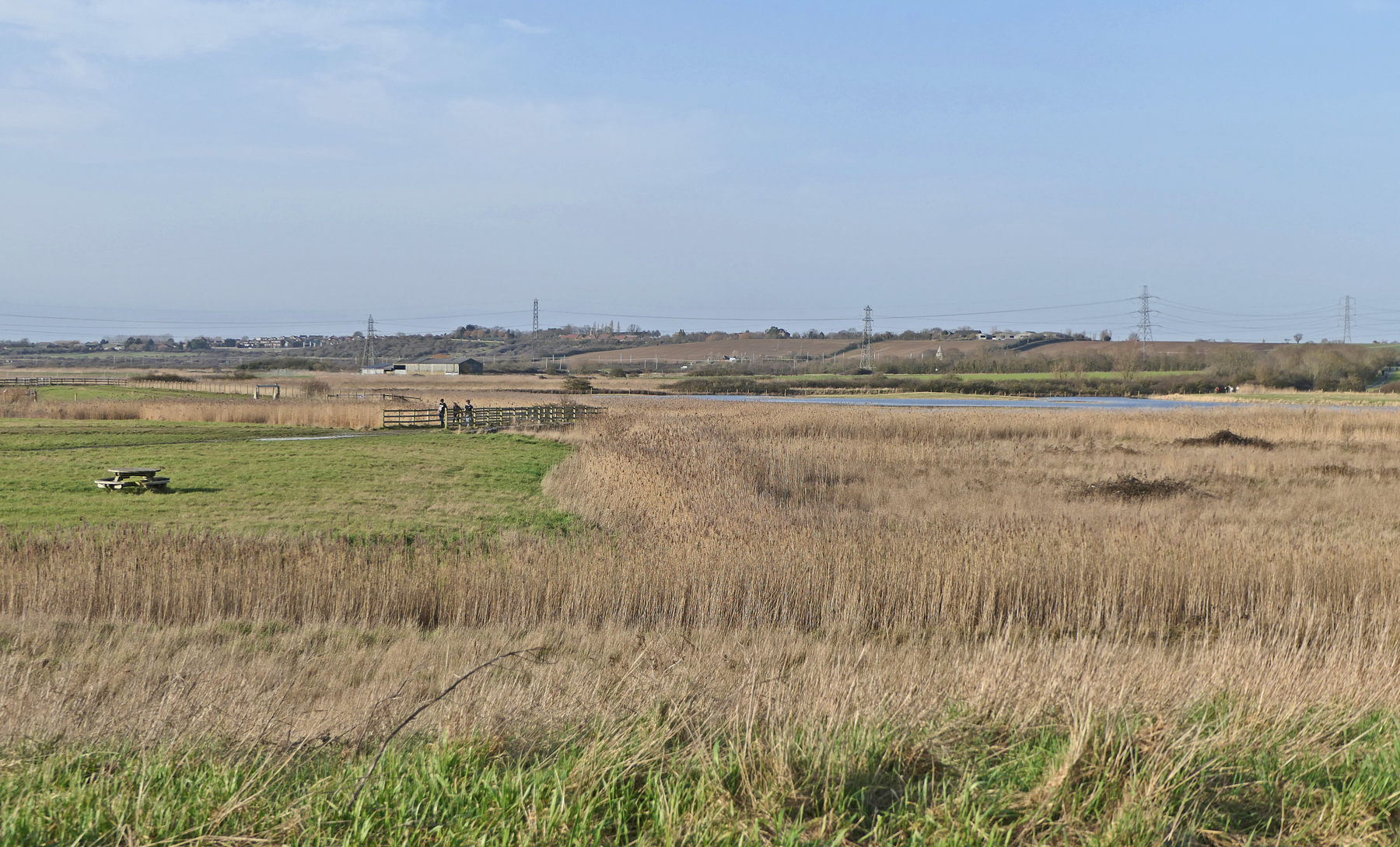 Bowers Marsh walk, February 2021 No. 8