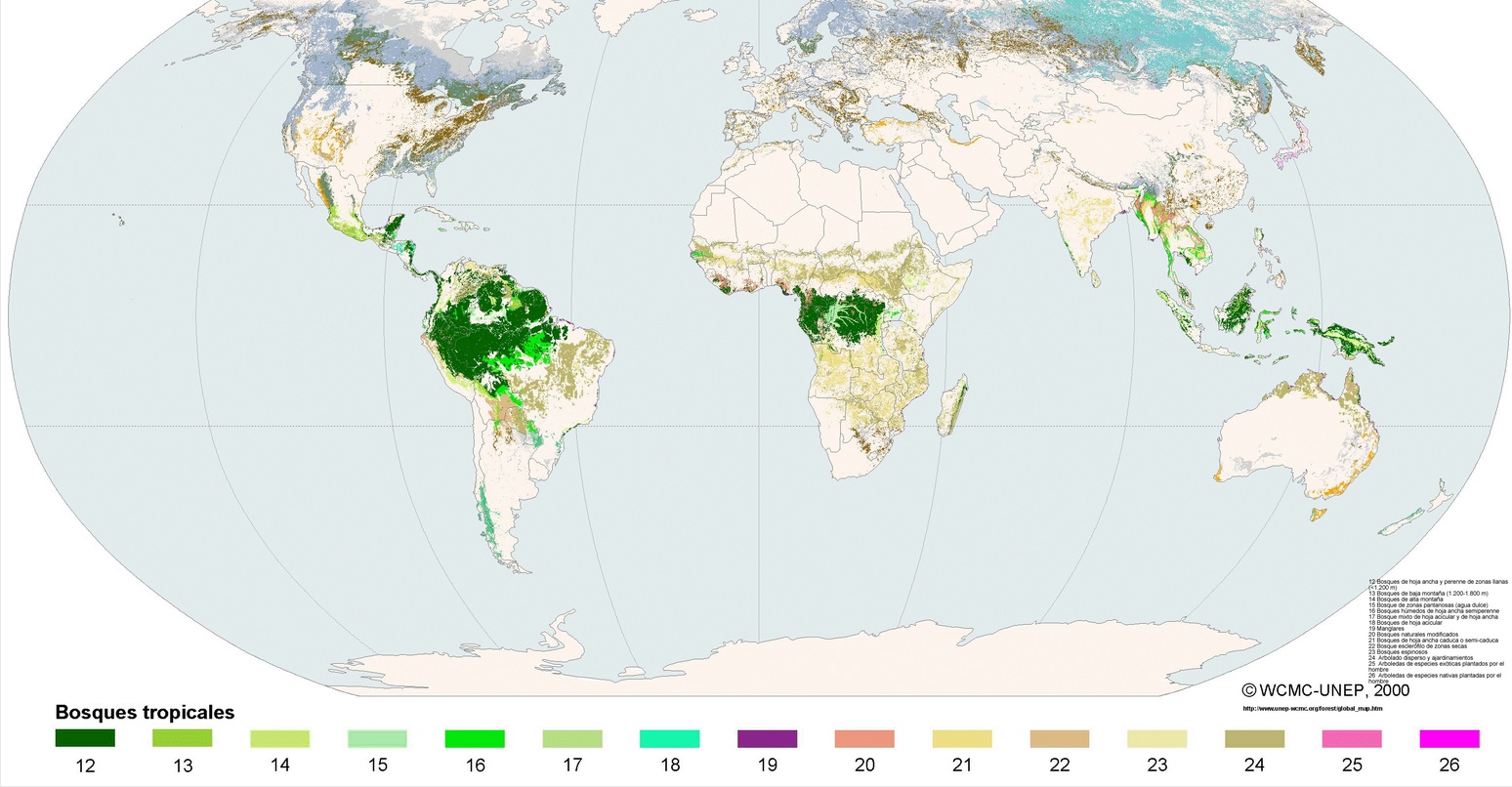 Blog de Geografía del profesor Juan Martín Martín: Distribución de los ...
