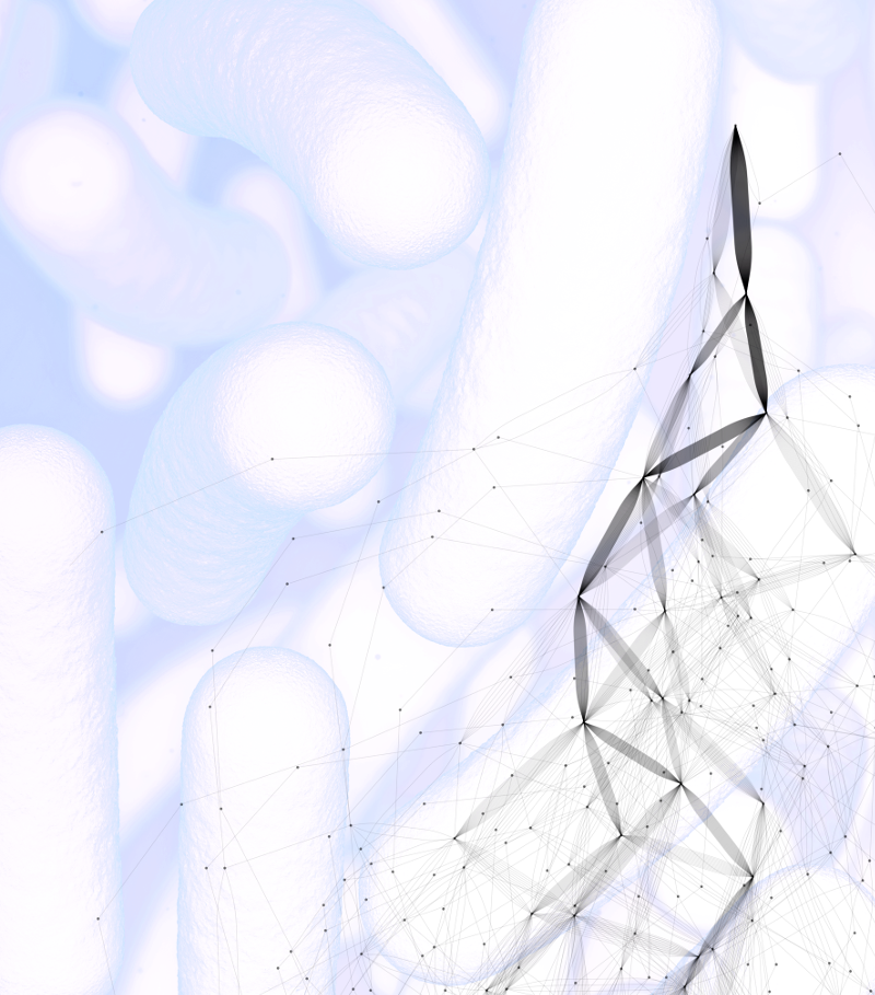 Stochastic Biology Group: January 2020