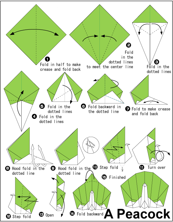 Peacock - Easy Origami instructions For Kids Peacock - Easy Origami instructions For Kids