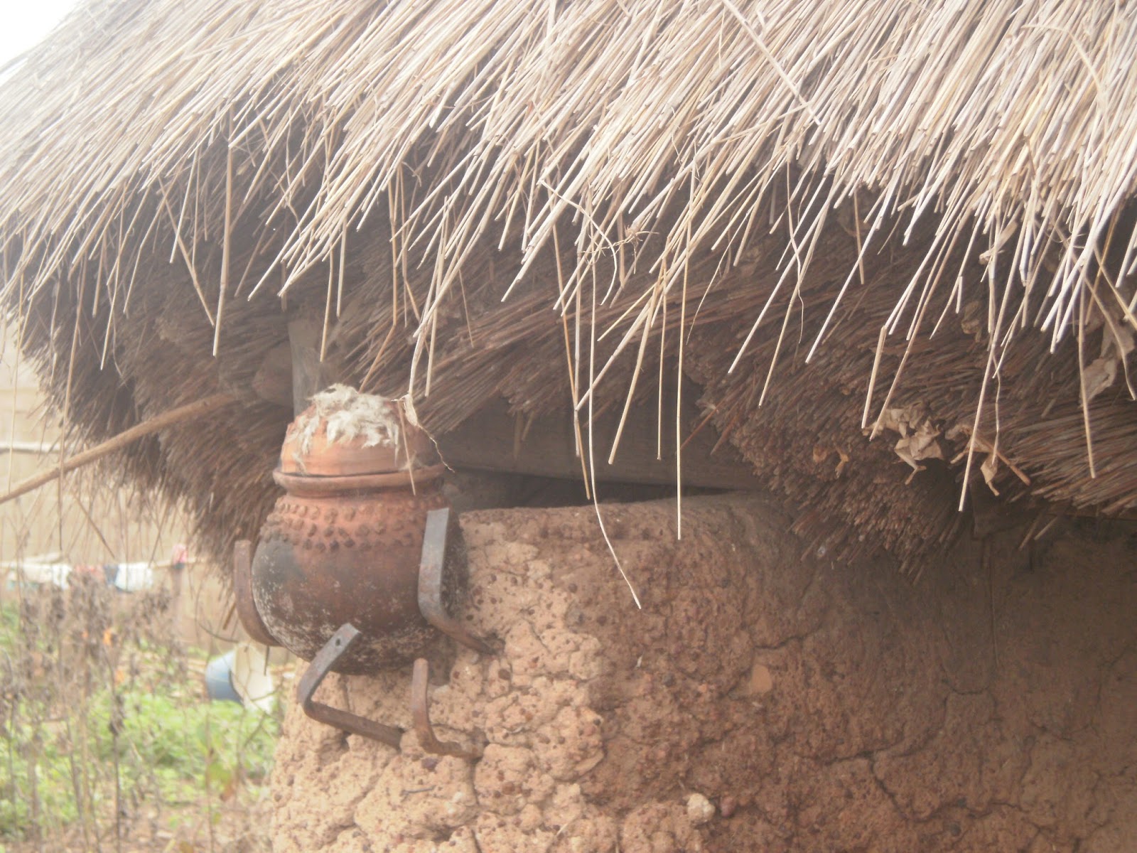 KORHOGOTIK: NIOFOIN: AL CORAZÓN DEL PAÍS SENUFO