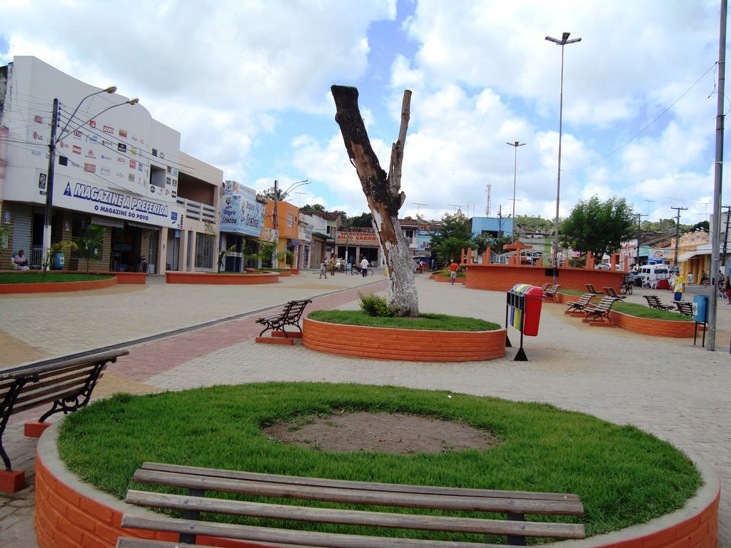 VIAGEM, TURISMO E AVENTURAS POR LUGARES INCRÍVEIS : ANADIA / ALAGOAS ...