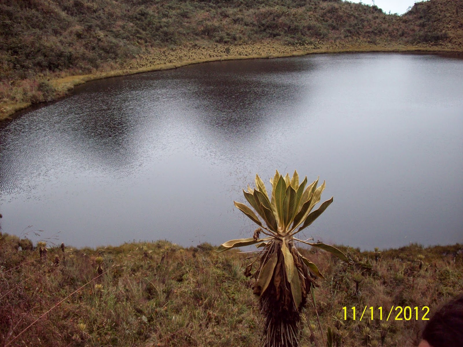 VIAJES POR COLOMBIA Y OTROS RINCONCITOS!!!: LAGUNA DE SANTA RITA - Andes