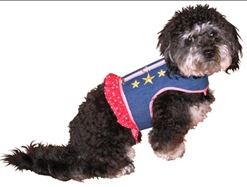 Make Your Pup A Pretty Patriotic Princess | Posh Puppy Boutique News blog