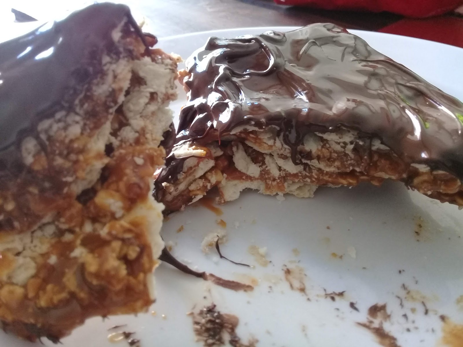 COCINANDO EN CASA - MINI ROGEL RÁPIDO