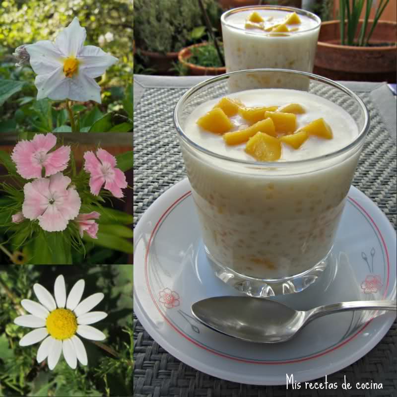 Perlas de tapioca con leche de coco y mango - Mis recetas de cocina