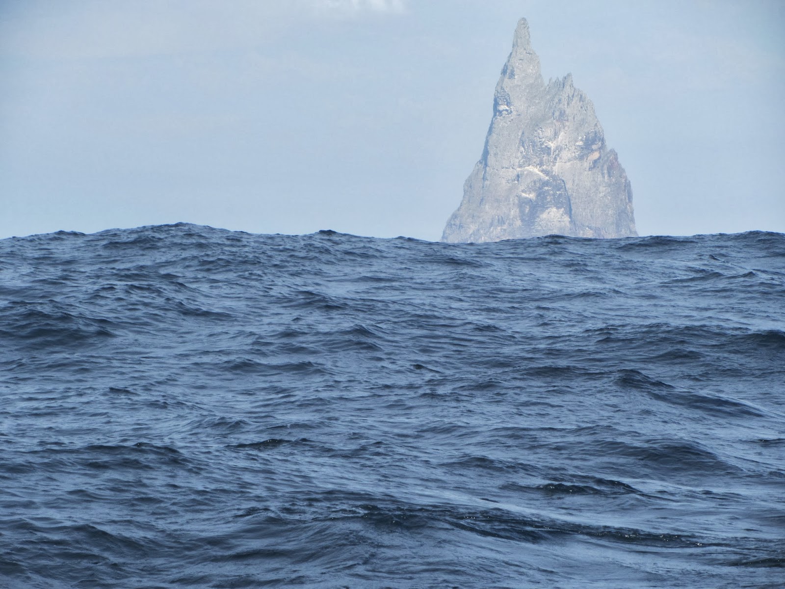 The Tumbrel Diaries: Ball's Pyramid