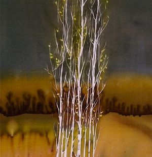 Ashbee Design: Batik Birch Trees