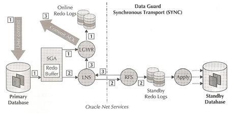 One Can Succeed at Almost Anything For Which He Has Enthusiasm...: Data ...